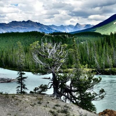 The North Saskatchewan River - Discover Nordegg, AB
